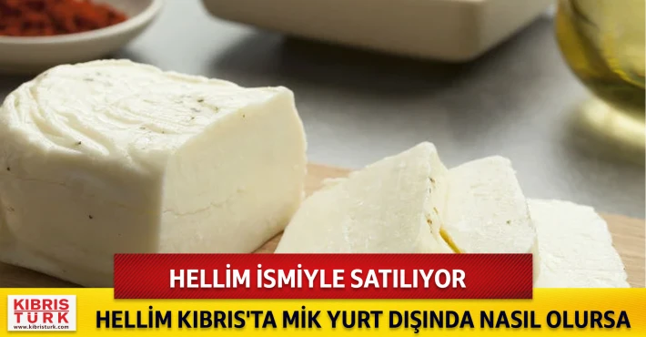 Hellim Kıbrıs'ta MİK yurt dışında nasıl olursa - Kıbrıs Türk Haber